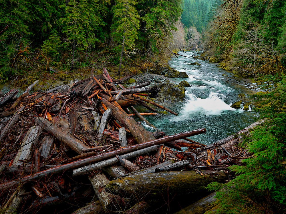 Breaking the Logjam – Star Struck Style